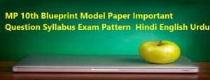 MP 10th Blueprint 2024, MP 10th Exam Pattern 2024, MPBSE Xth Blueprint ...